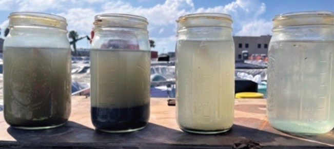 The Solution | Restore Badin Lake